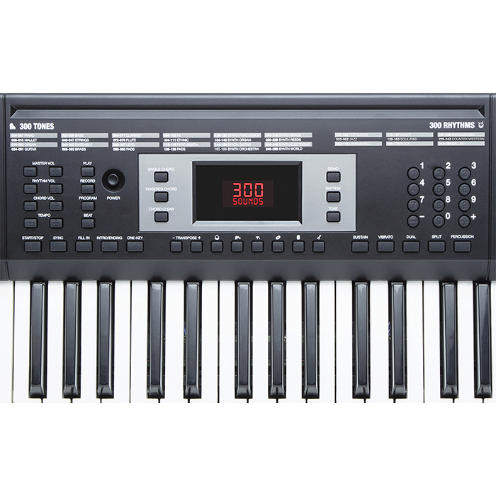 TECLADO DE INCIACION ALESIS HARMONY 61 TECLAS | Música, Audio, Video e ...